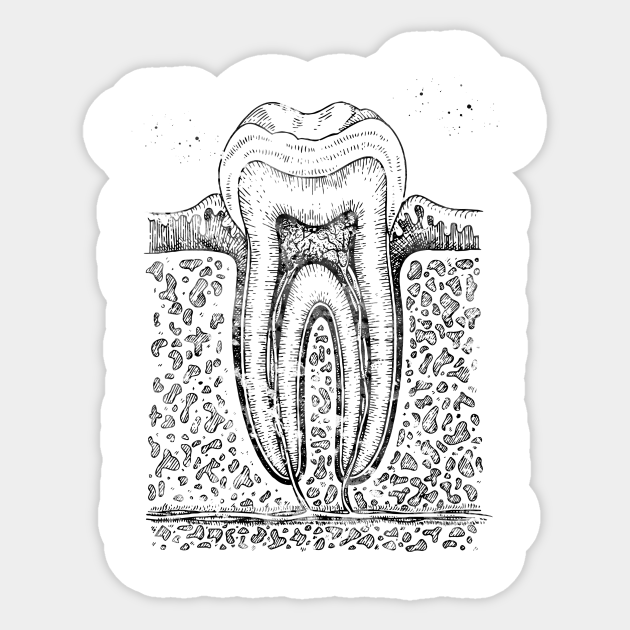Tooth Diagram Tooth Aufkleber TeePublic DE tooth-diagram-tooth-aufkleber-teepublic-de